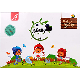 Raajkart.com - Berry Garden Soft Berry Kit Buy Books Online at Best ...