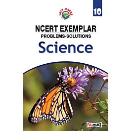 Raajkart.com - Full Marks NCERT Exemplar Science for Class 10 Buy Books ...